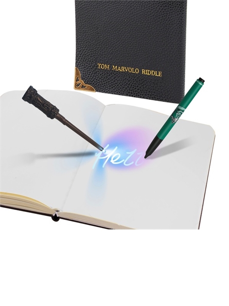 Tom riddle's diary store